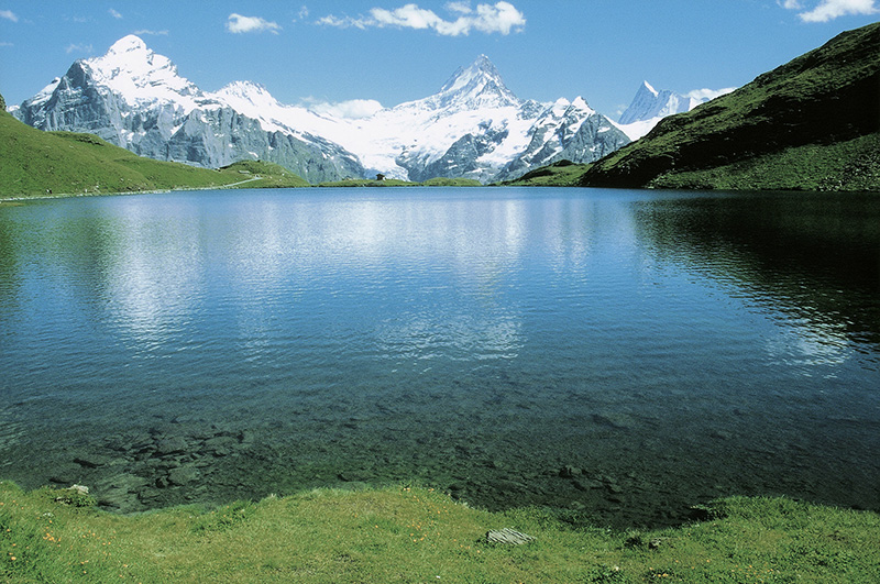 Le Cholera Valaisan | Fromage suisse